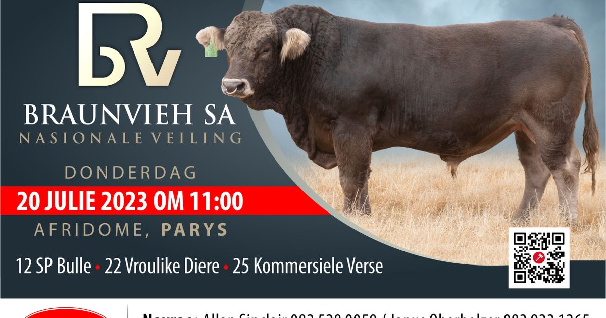 BRAUNVIEH SA NASIONALE VEILING | SwiftVEE | South Africa’s Leading ...