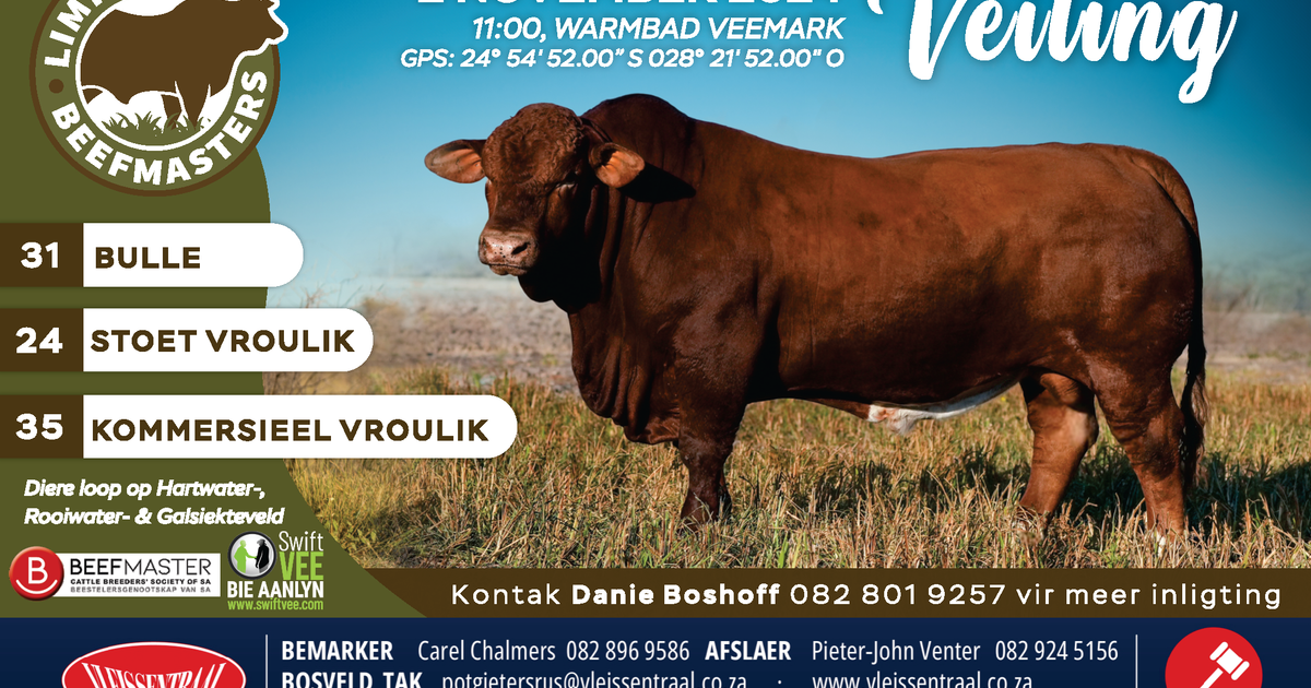 LIMPOPO BEEFMASTERS KLUB VEILING | SwiftVEE | South Africa’s Leading ...