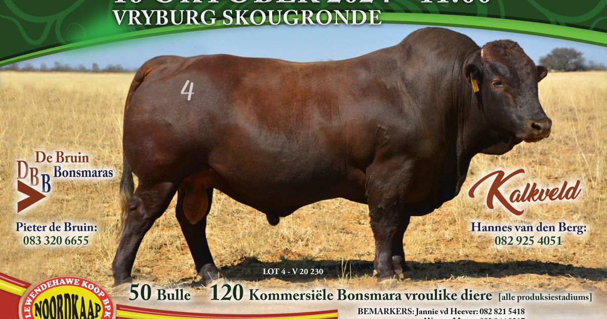 KALKVELD & DE BRUIN BONSMARAS VEILING | SwiftVEE | South Africa’s ...