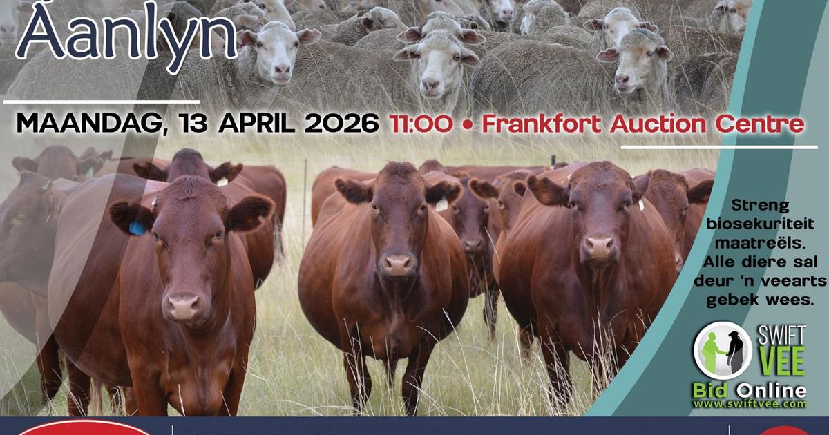 SPESIALE BEES EN SKAAP AANLYN VEILING | SwiftVEE | South Africa’s ...