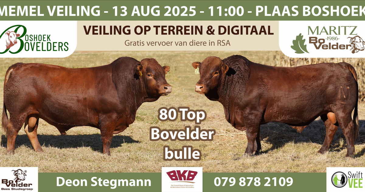 BOSHOEK & MARITZ BOVELDERS VEILING | SwiftVEE | South Africa’s Leading ...