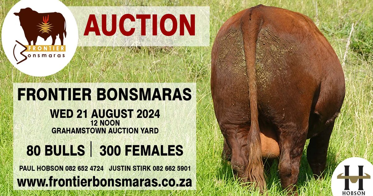 FRONTIER BONSMARAS BULL & PRODUCTION SALE | SwiftVEE | South Africa’s ...