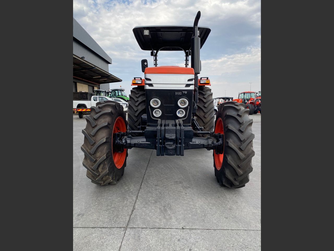 Lot 22 | HUMANSDORP AUCTION | SwiftVEE | Livestock & Cattle Webcast ...