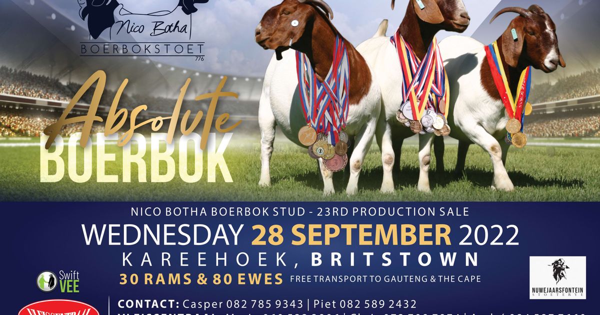 ABSOLUTE BOERBOK NICO BOTHA BOER GOAT STUD 23RD PRODUCTION AUCTION ...