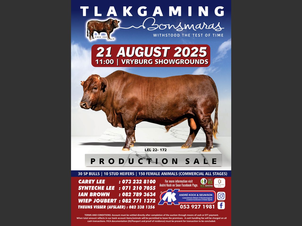 TLAKGAMING BONSMARAS PRODUCTION SALE | SwiftVEE | South Africa’s ...