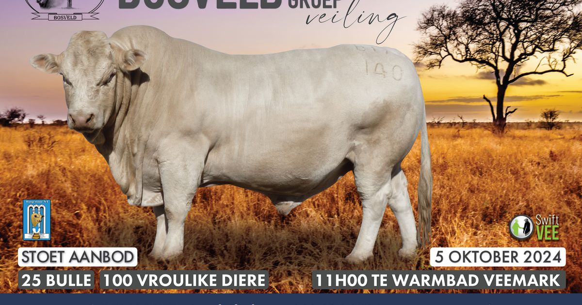 BOSVELD HUGENOOT GROEP VEILING | SwiftVEE | South Africa’s Leading ...
