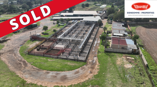 Sundra Livestock Auction Facility - Buyers have the option to buy Ptn ...