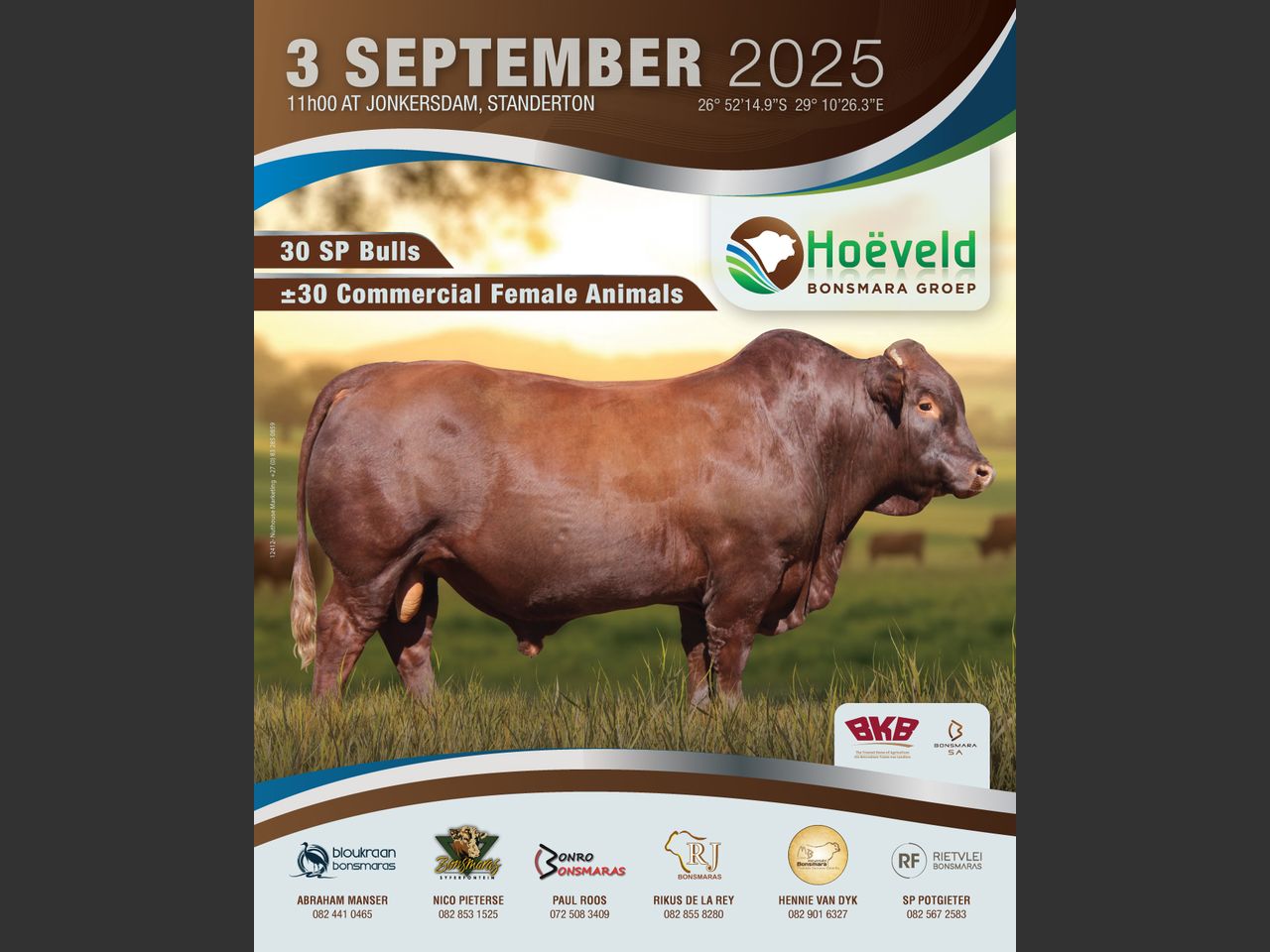HOËVELD BONSMARA GROEP VEILING | SwiftVEE | Livestock & Cattle Webcast Auctions