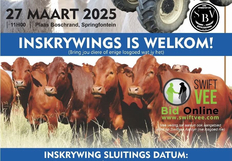 SPRINGFONTEIN AGRI VEE & LOSGOED VEILING | SwiftVEE | Livestock ...