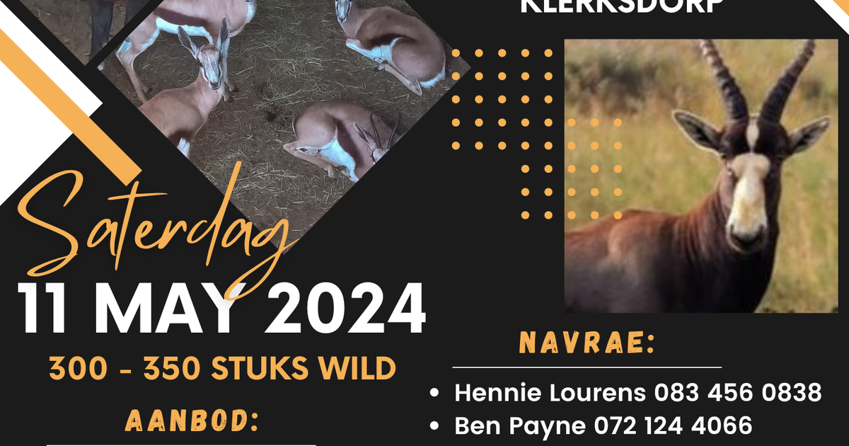 NICO ROUX WILD VEILING | SwiftVEE | Livestock & Cattle Webcast Auctions