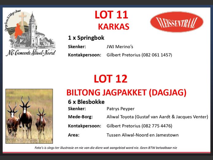 Lot 12 | NG KERK ALIWAL-NOORD WILD & WYN VEILING | SwiftVEE | Livestock ...