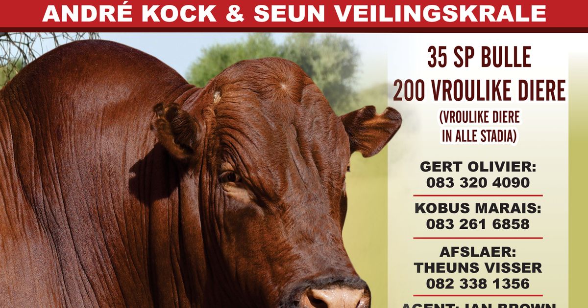 BONKA BONSMARA & MARAIS BONSMARA PRODUKSIEVEILING | SwiftVEE ...