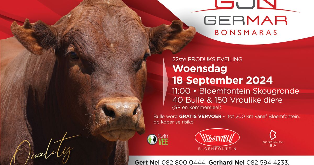 GERMAR BONSMARAS 22STE PRODUKSIEVEILING | SwiftVEE | Livestock & Cattle ...