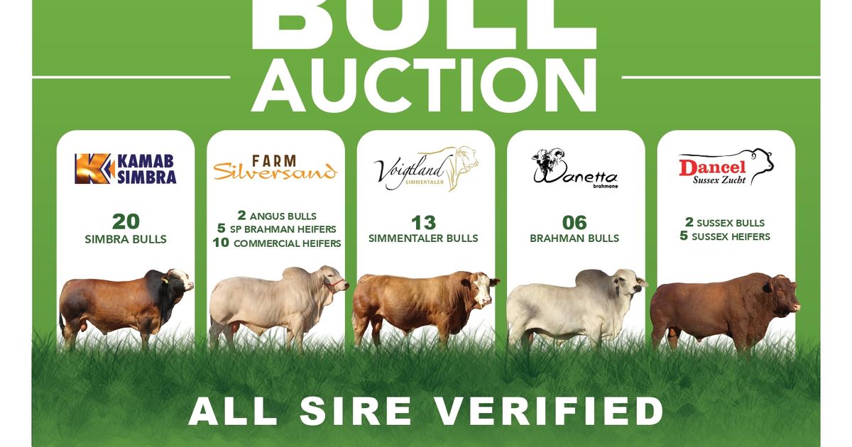 CENTRAL SELECT BULL AUCTION | SwiftVEE | South Africa’s Leading Online ...