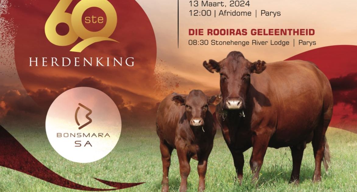 NASIONALE BONSMARA VEILING | SwiftVEE | South Africa’s Leading Online ...
