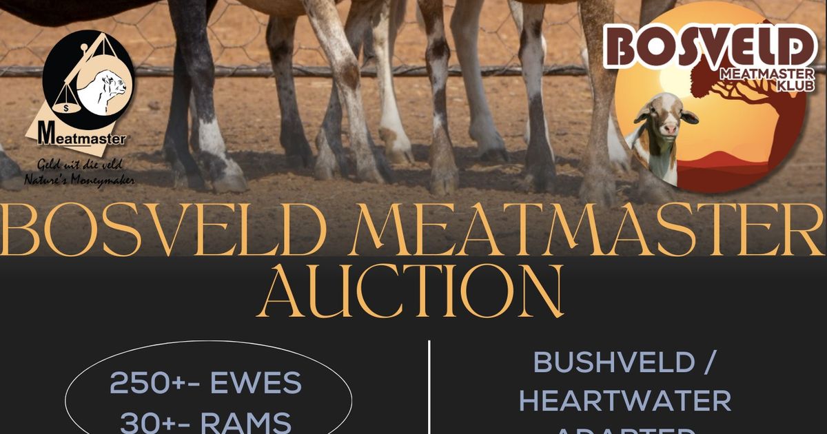 BOSVELD MEATMASTER KLUB | SwiftVEE | South Africa’s Leading Online ...