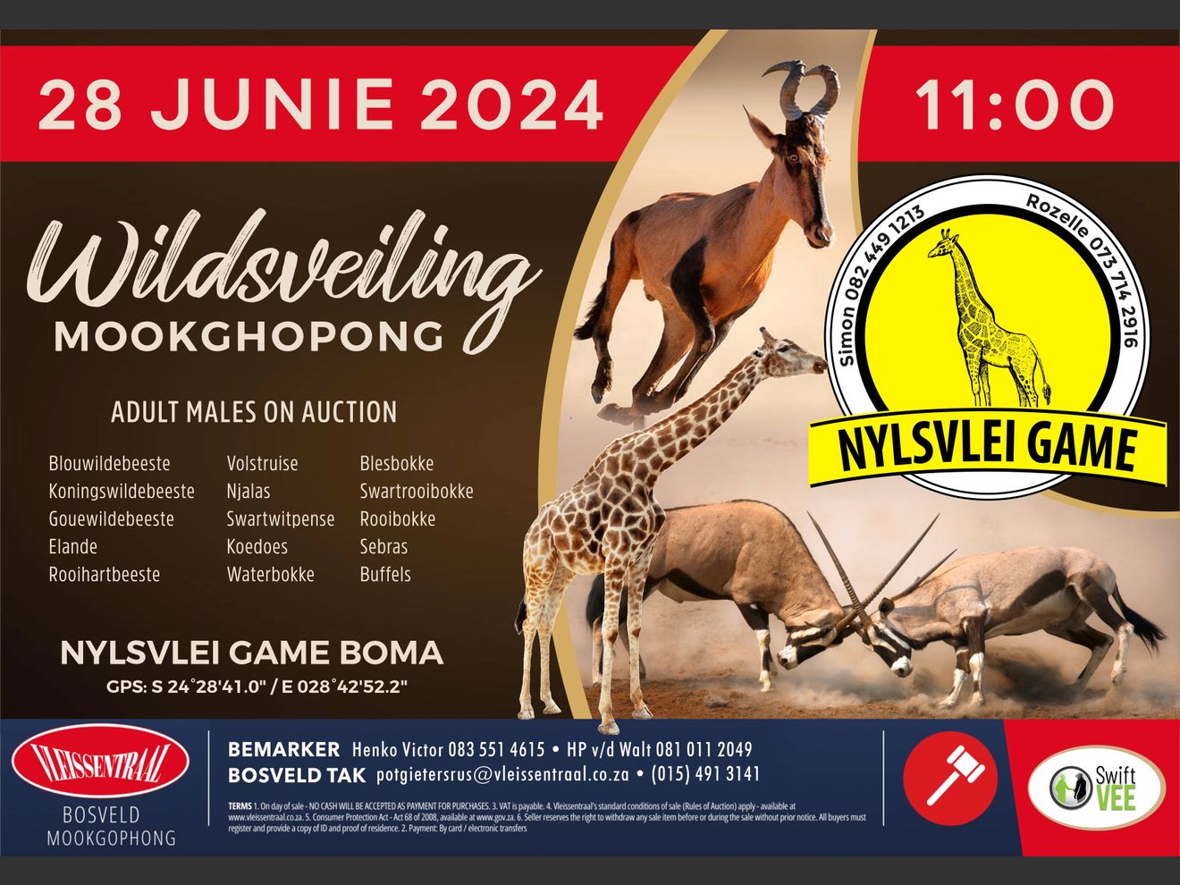 Lot 1A. | NYLSVLEI GAME WILDSVEILING | SwiftVEE | Livestock & Cattle ...