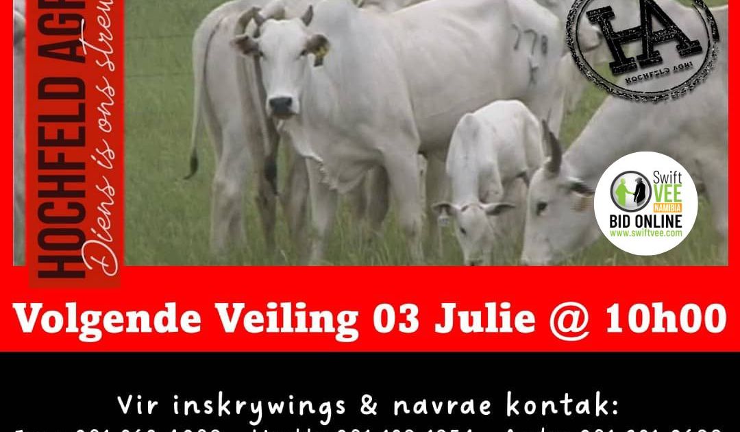 HOCHFELD AGRI COMMERCIAL AUCTION | SwiftVEE | South Africa’s Leading ...