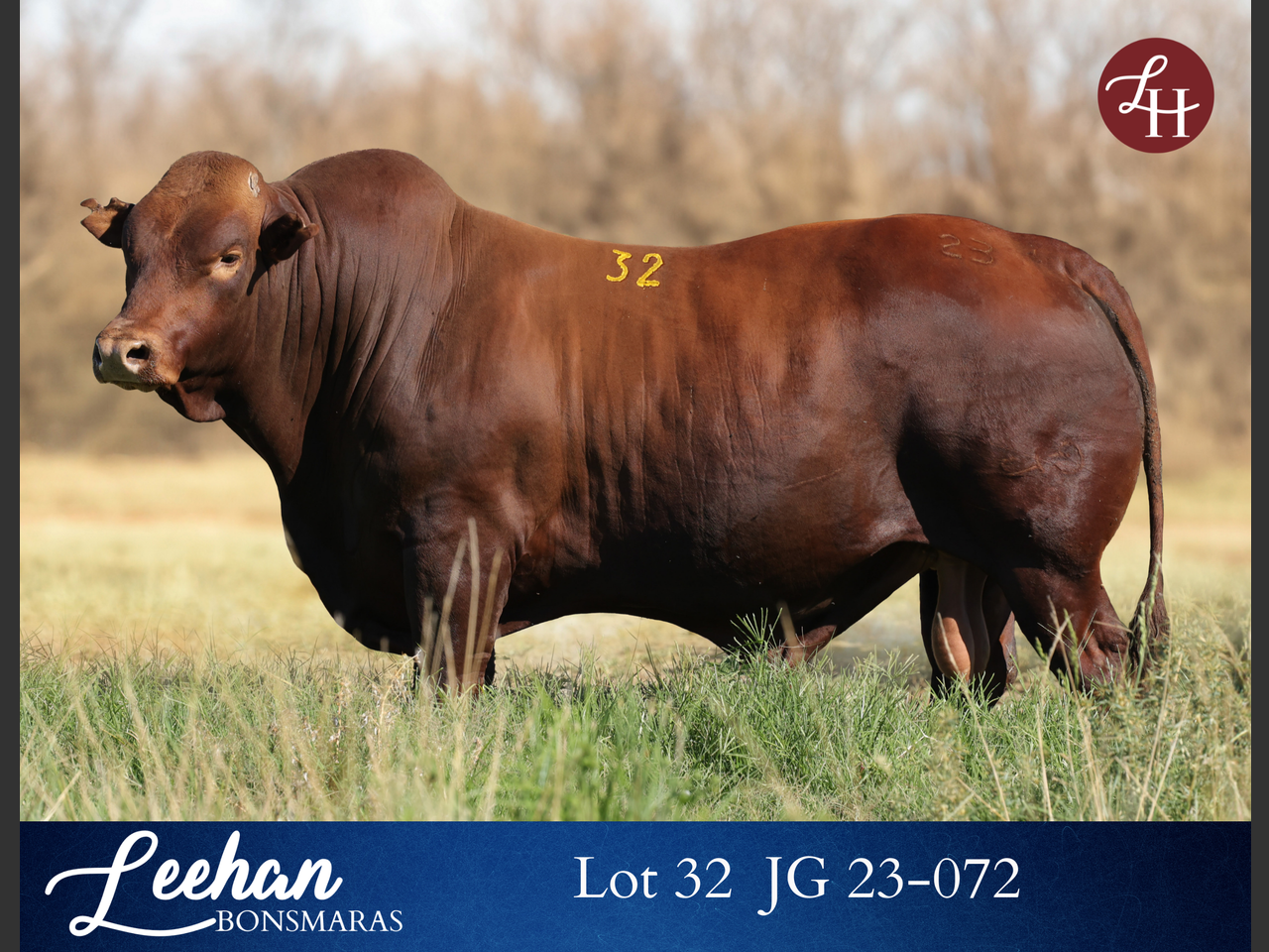 Lot 32 | LEEHAN BONSMARAS VEILING | SwiftVEE | South Africa’s Leading ...