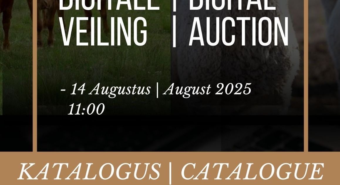 BKB DIGITALE VEILING | DIGITAL AUCTION | SwiftVEE | Livestock & Cattle ...