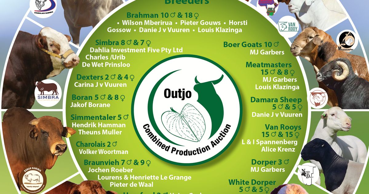 OUTJO JOINT PRODUCTION AUCTION | SwiftVEE | South Africa’s Leading ...