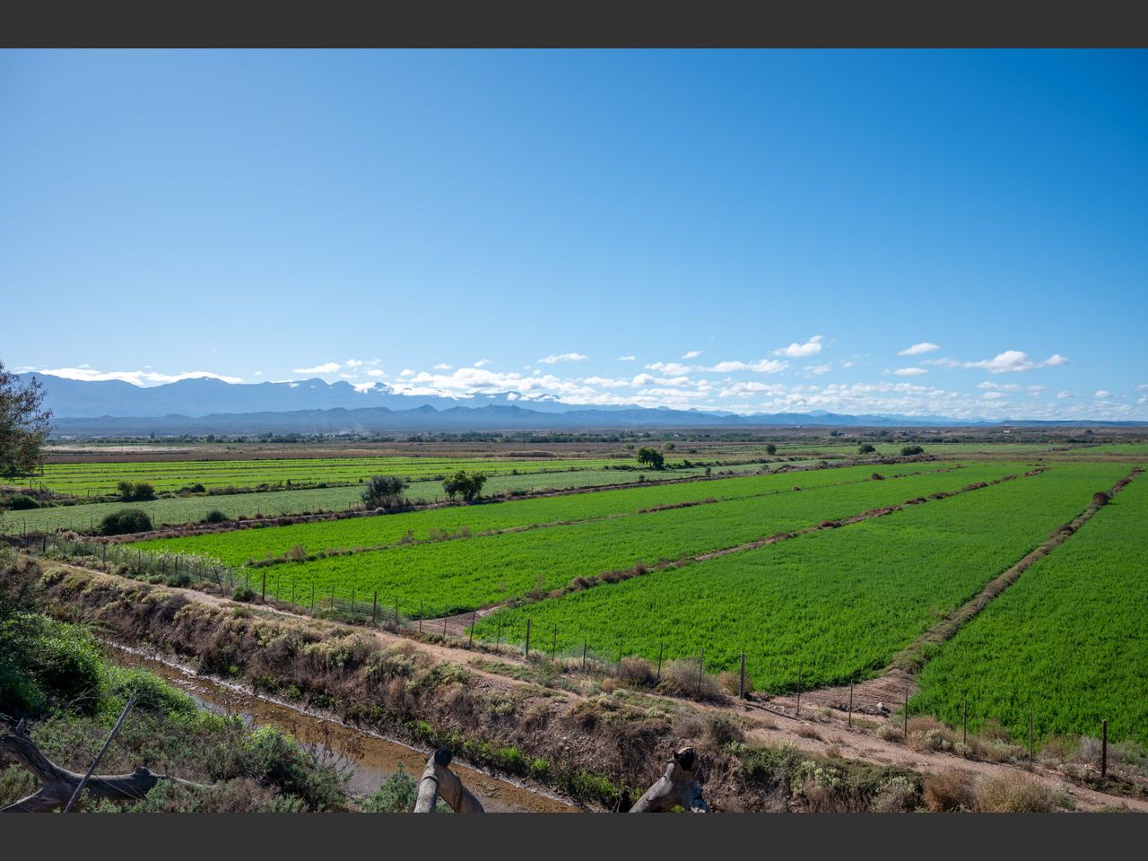 Lot 3 | CALITZDORP OUTSTANDING IRRIGATION AND VELD FARMS ON AUCTION ...