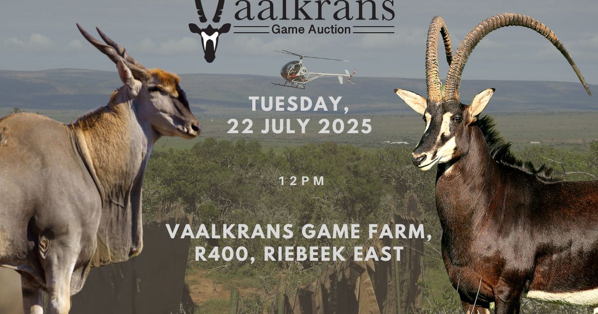 VAALKRANS GAME AUCTION | SwiftVEE | South Africa’s Leading Online ...