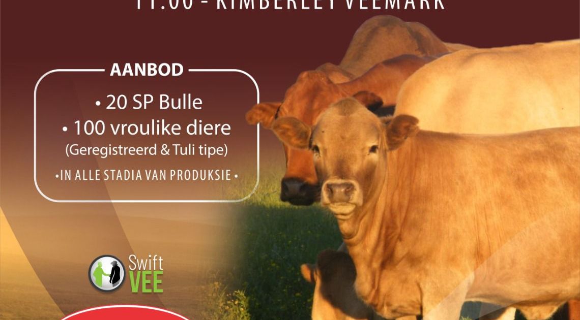 13DE GO WEST TULI VEILING | SwiftVEE | South Africa’s Leading Online ...