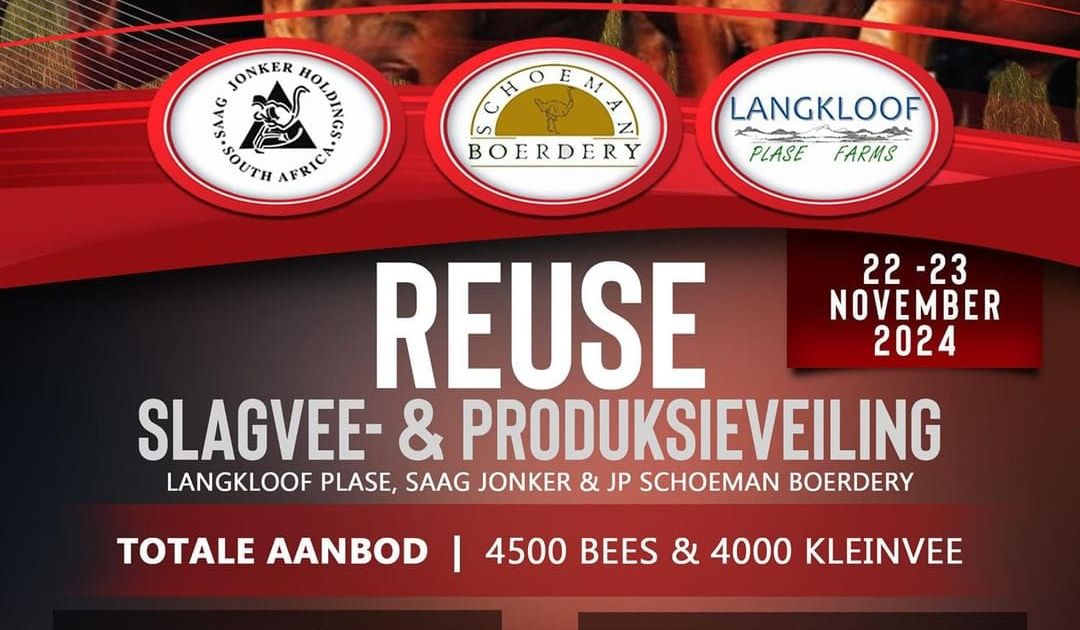 REUSE SLAGVEE EN PRODUKSIEVEILING VAN SAAG JONKER GROEP, SCHOEMAN BDY ...