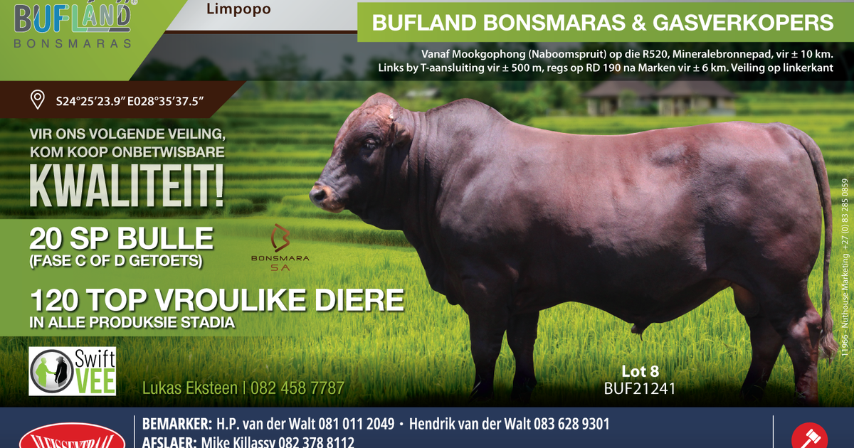 BUFLAND BONSMARAS & GASVERKOPERS VEILING | SwiftVEE | South Africa’s ...