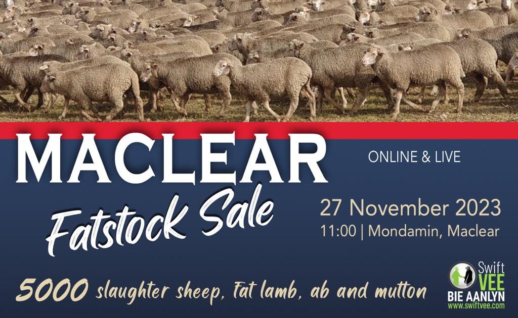 MACLEAR FATSTOCK SALE | SwiftVEE | South Africa’s Leading Online ...