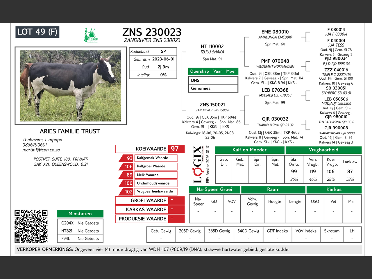 Lot 49 | 40TH NORTHERN NGUNI CLUB PRODUCTION AUCTION | SwiftVEE ...