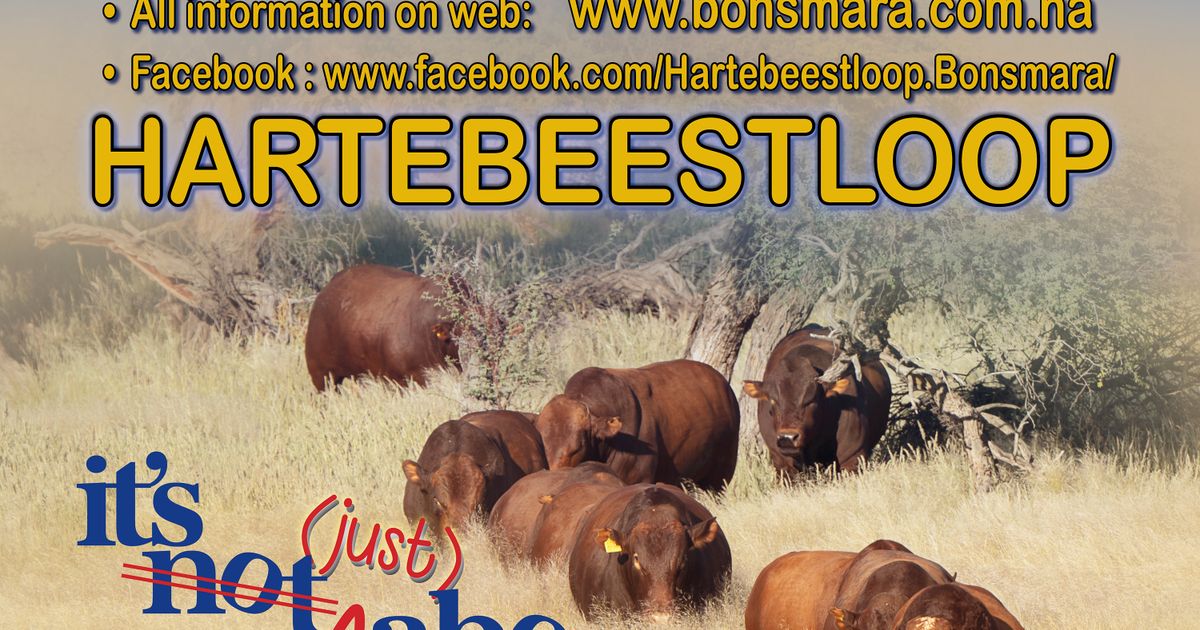 HARTEBEESTLOOP BONSMARA AUCTION | SwiftVEE | Livestock & Cattle Webcast Auctions