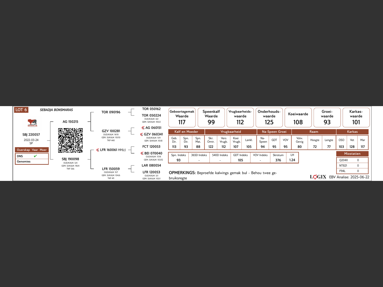 Lot 6 | SEBADJA BONSMARA PRODUKSIEVEILING | SwiftVEE | Livestock ...