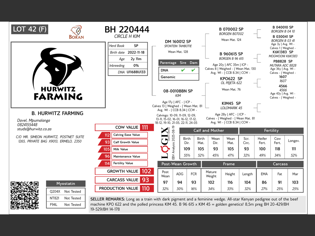 Lot 42 | HURWITZ FARMING SUMMER SALE | SwiftVEE | South Africa’s ...
