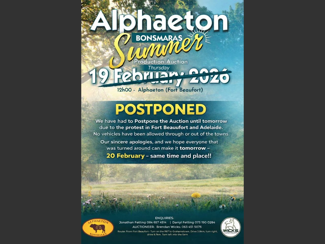 ALPHAETON BONSMARAS SUMMER PRODUCTION AUCTION | SwiftVEE | South Africa ...