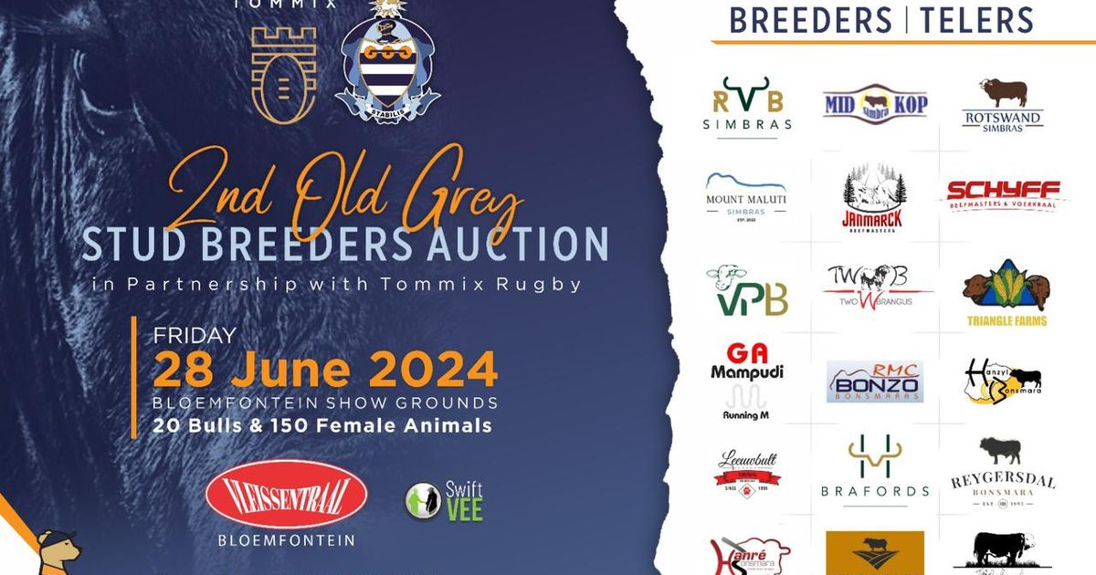 2ND OLD GREY STUD BREEDERS AUCTION IN PARTNERSHIP WITH TOMMIX RUGBY ...