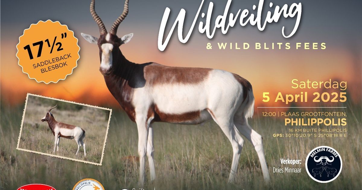 PHILIPPOLIS WILDVEILING & WILD BLITS FEES | SwiftVEE | Livestock ...