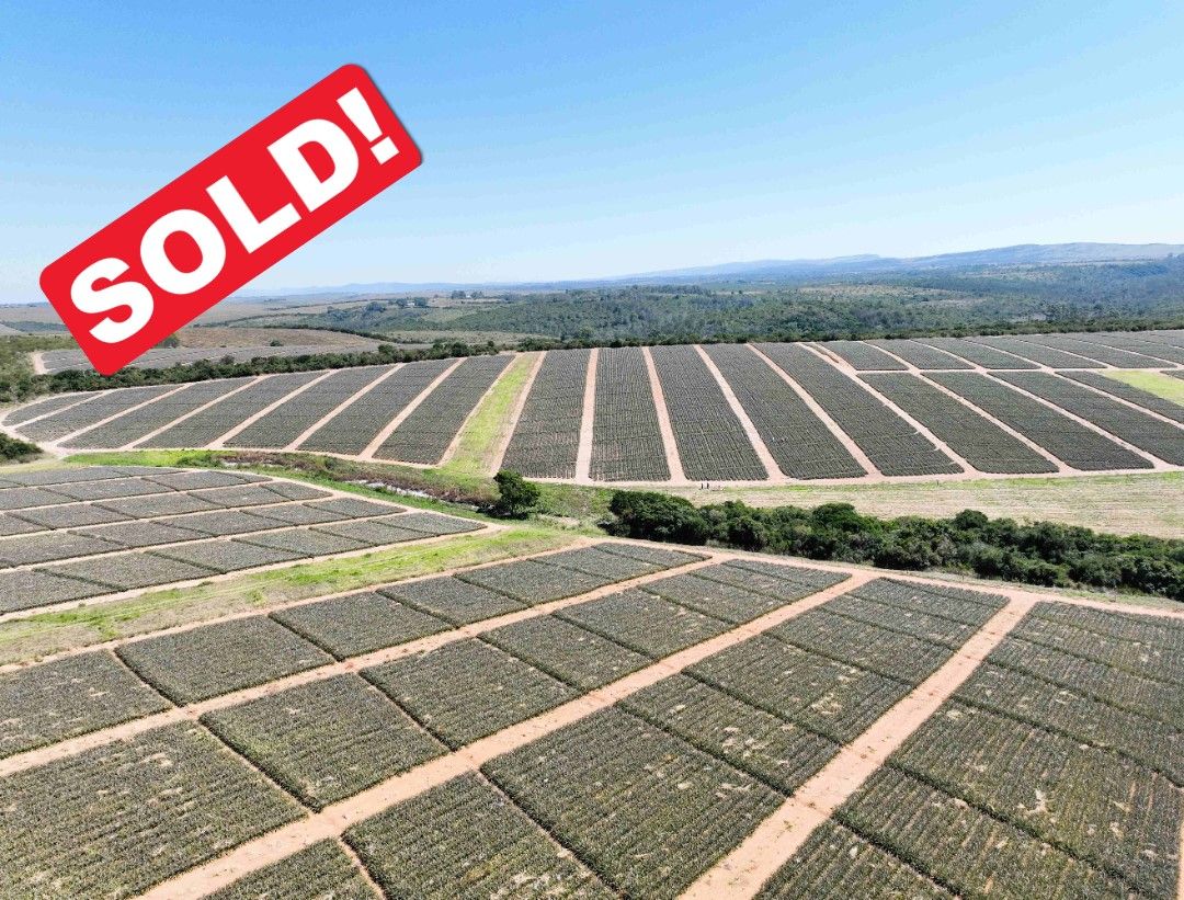 Pineapple Farm - Bathurst | Devhula Auctioneers