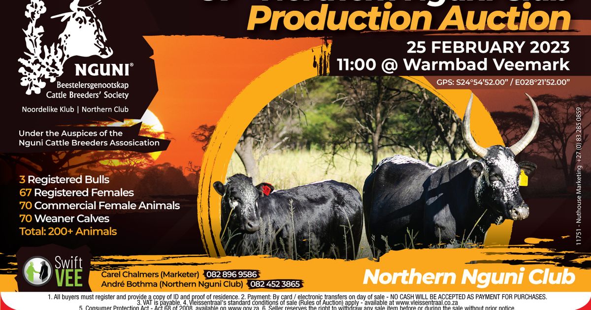 37TH NORTHERN NGUNI CLUB PRODUCTION AUCTION | SwiftVEE | Livestock ...