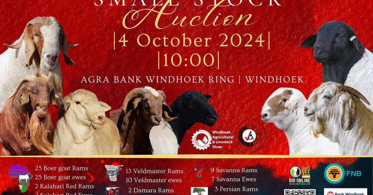 2024 WINDHOEK SHOW SMALL STOCK AUCTION | SwiftVEE | South Africa’s ...