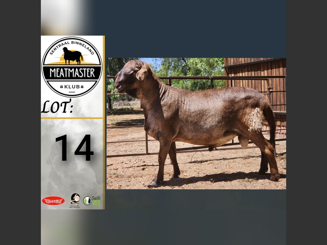 Lot R14 | SENTRALE BINNELAND MEATMASTER KLUBVEILING | SwiftVEE ...