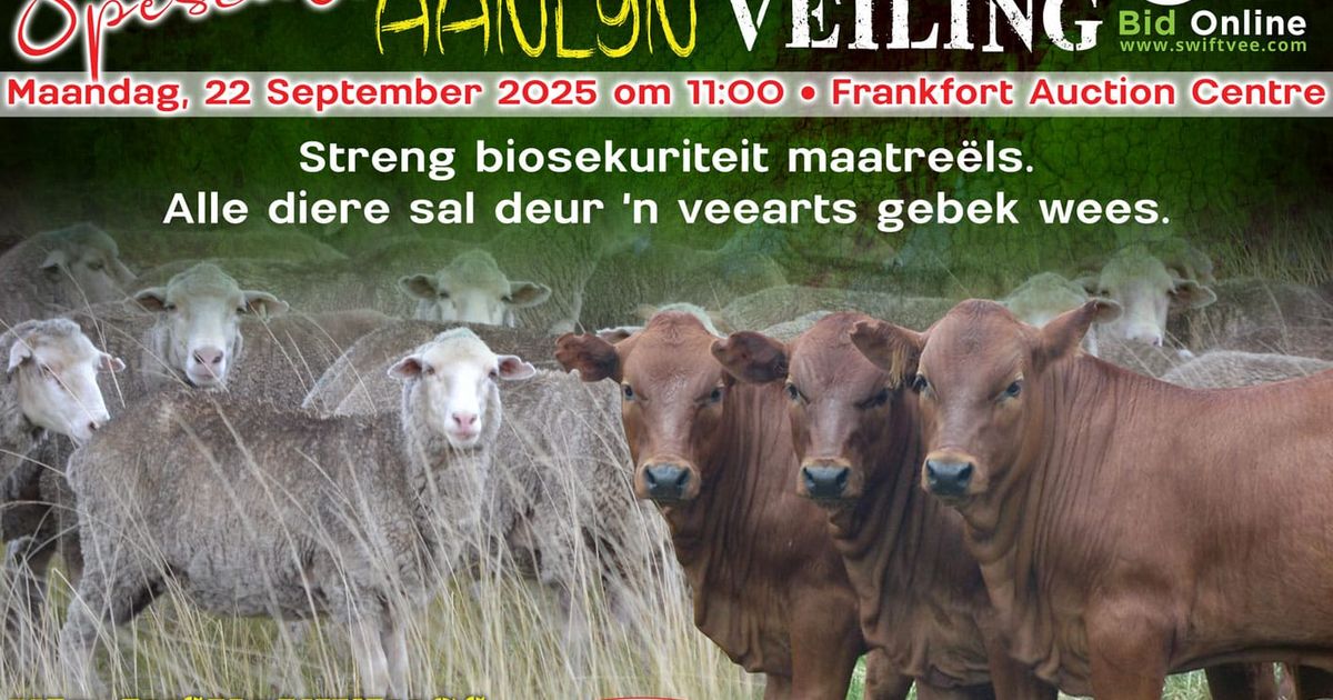 SPESIALE BEES EN SKAAP AANLYN VEILING | SwiftVEE | South Africa’s ...