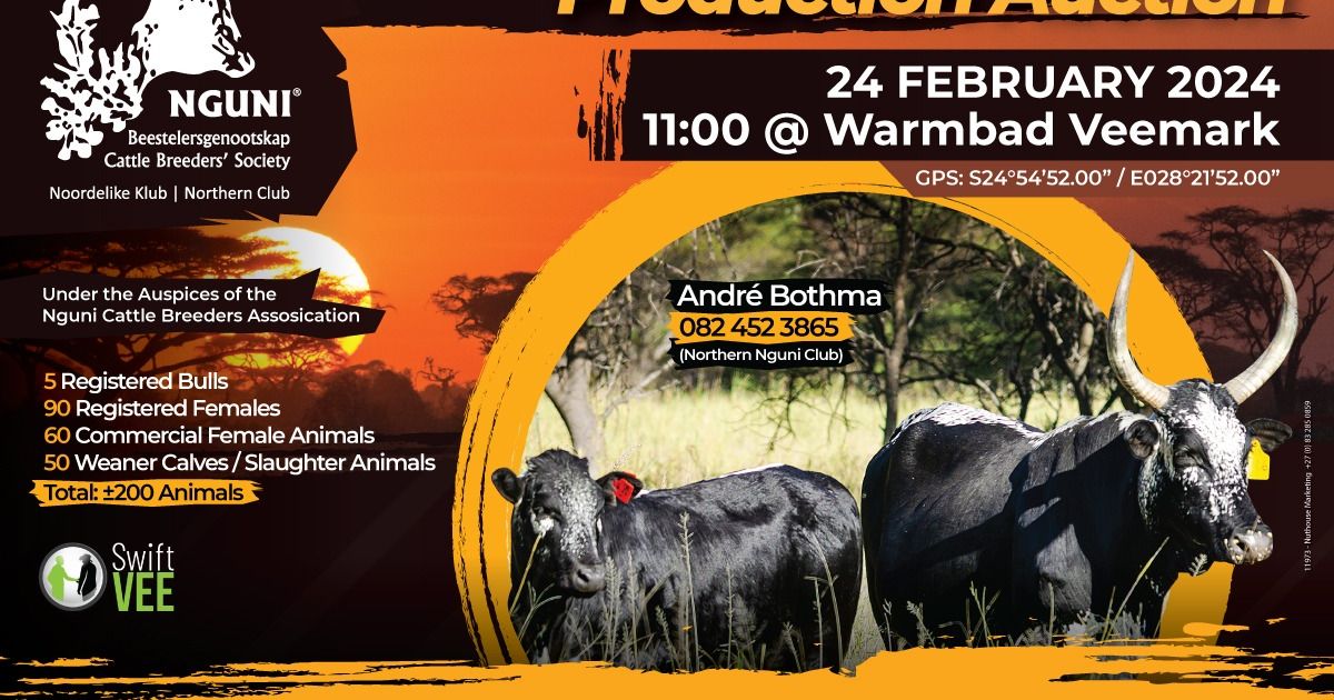 38TH NORTHERN NGUNI CLUB PRODUCTION AUCTION | SwiftVEE | Livestock ...