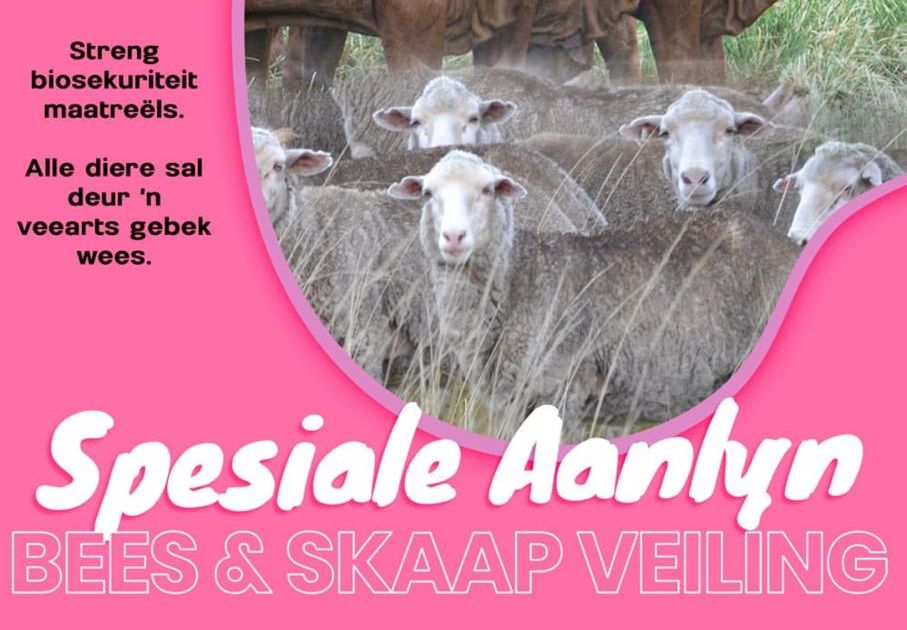 SPESIALE BEES EN SKAAP AANLYN VEILING | SwiftVEE | South Africa’s ...