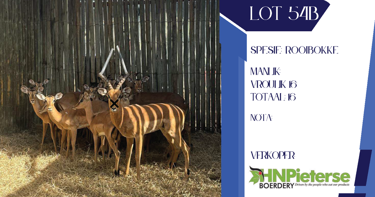 Lot 54B | SCHOONBEE LANDGOED & HN PIETERSE BOERDERY WILD ...