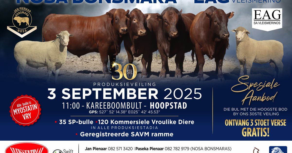 NOSA BONSMARAS & EAG SA VLEIMERINOS 30STE PRODUKSIEVEILING | SwiftVEE ...
