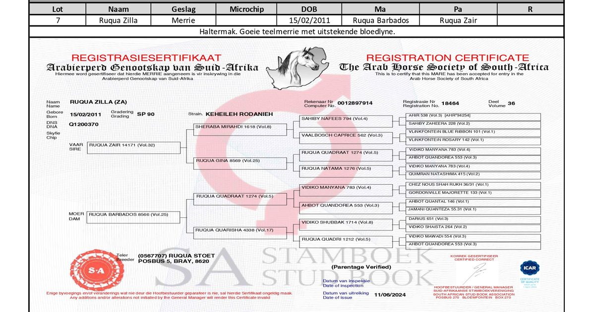 Lot 7 | RUQUA ARABIER PERD STOETVEILING | SwiftVEE | Livestock & Cattle ...