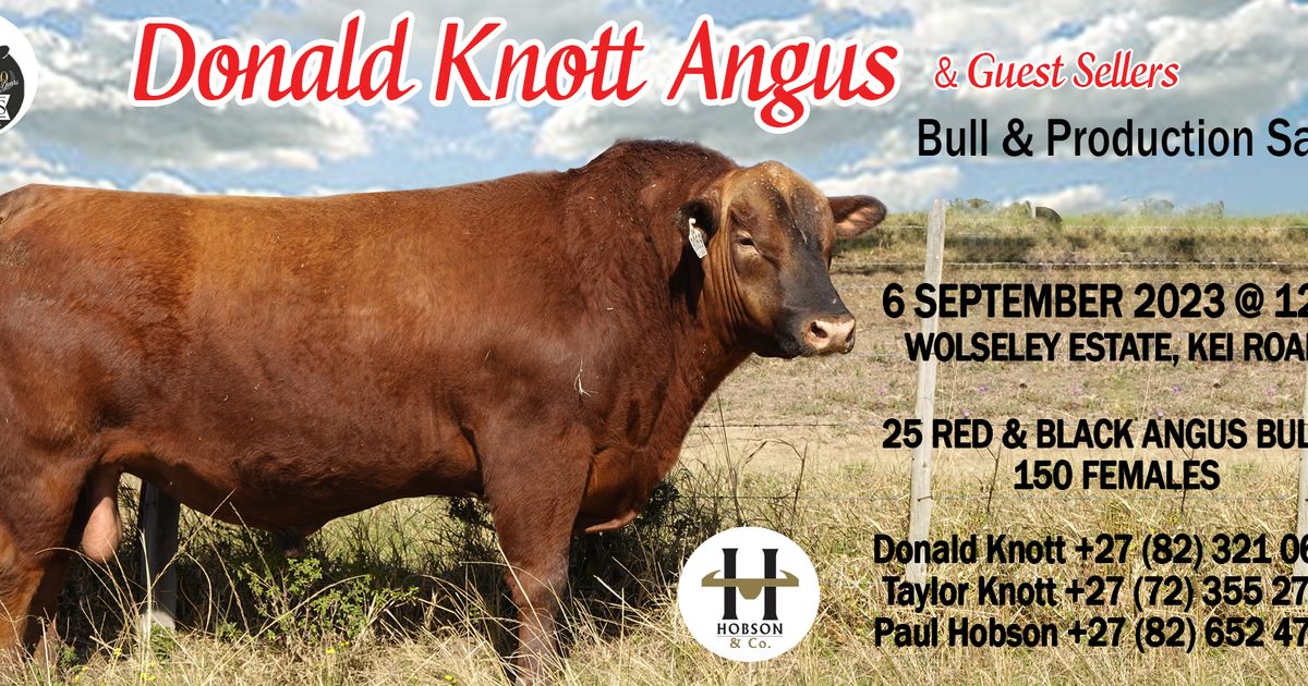 DONALD KNOTT ANGUS & GUEST SELLERS BULL & PRODUCTION SALE | SwiftVEE ...