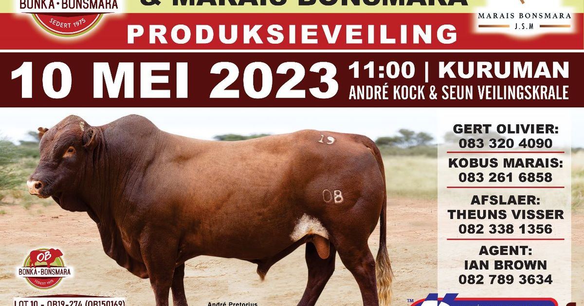 BONKA BONSMARA & MARAIS BONSMARA PRODUKSIEVEILING | SwiftVEE | South ...